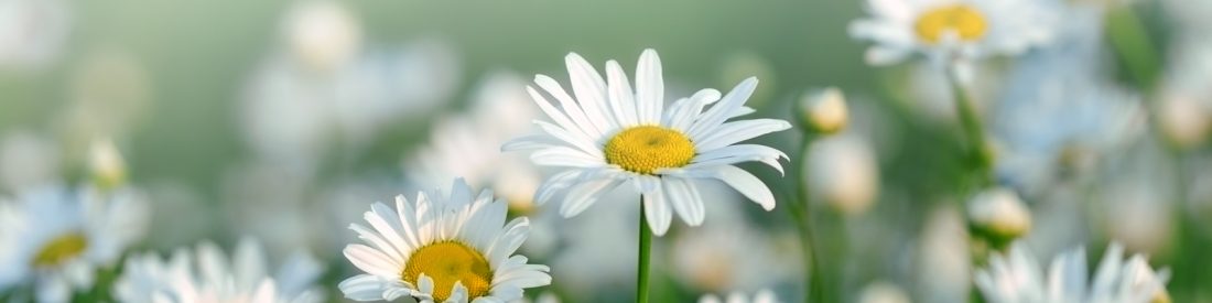 Helping Nervous Patients | Shire Periodontics Sutherlandshire