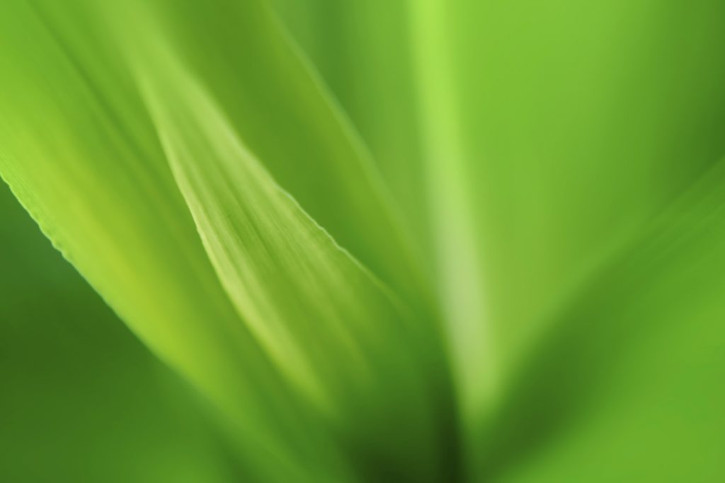 Helping Nervous Patients | Shire Periodontics Sutherlandshire